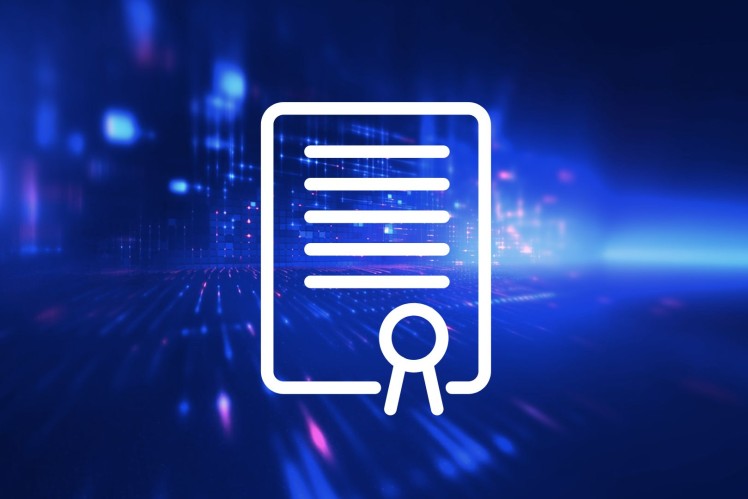 Monterrey Internship Program - ZF